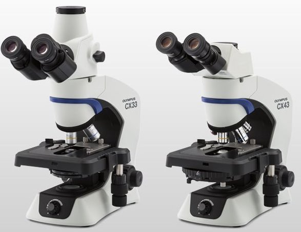 THE PRECISION SCIENTIFIC CO (CBE) - ICCI